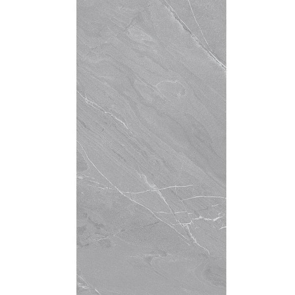 Laguna Grey Matt Indoor Wall&Floor Porcelain Tile-1200x600mm